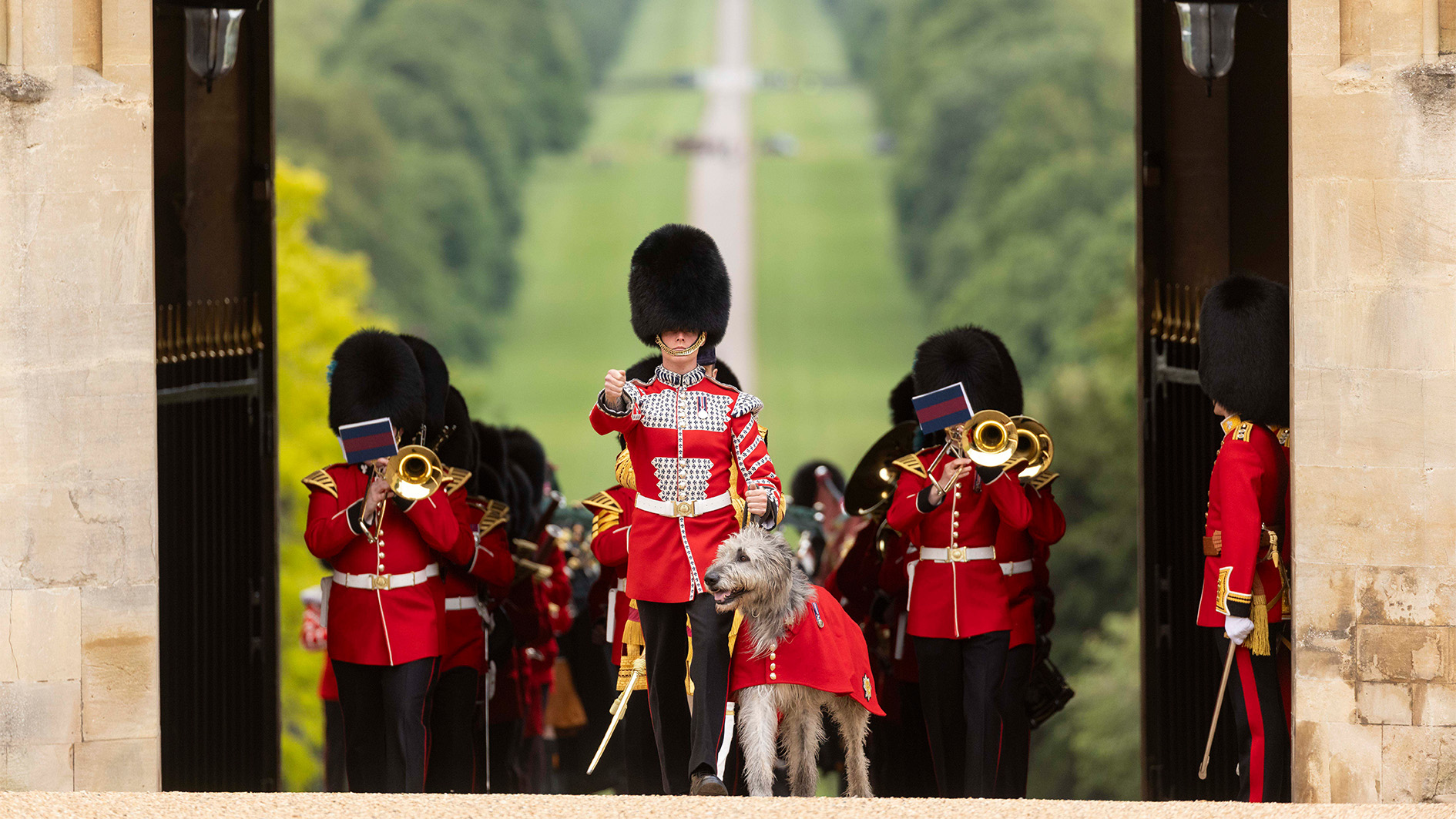 Trenches, tassels and truth: Striking images from the Army's 2025 Photo Competition